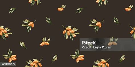 오렌지 열매가 있는 바다 갈매 나무속 가지 수채화 손으로 그린 가을 꽃 완벽 한 패턴 어두운 배경에 가을에 대한 스톡 벡터 아트 및 기타 이미지 Istock