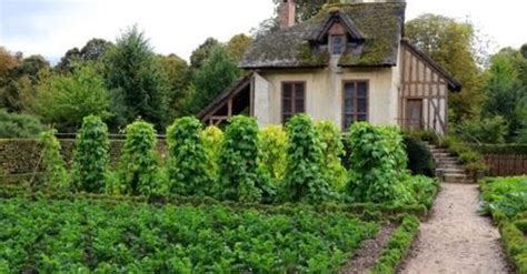 Вече имах неканени гости в нашата къща Един ден моята съседка баба Аня ми даде идея след