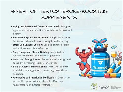 Understanding Testosterone Boosting Supplements