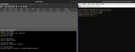 Developing Winsock Communication In Malware White Knight Labs