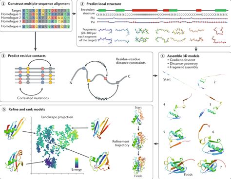 Advances In Protein Structure Prediction And Design Pmc
