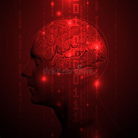 The Concept Of Active Human Brain With Binary Code Stock Vector