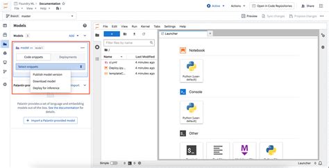 Code Workspaces • Train And Interact With Models • Palantir