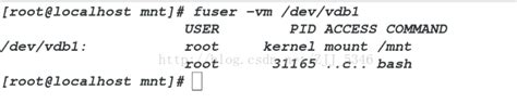 linux存储设备的管理与分区 mkxfs csdn博客