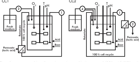 Figure 1 From Lactic Acid Production By Lactobacillus Plantarum L10 In A Cell Retention