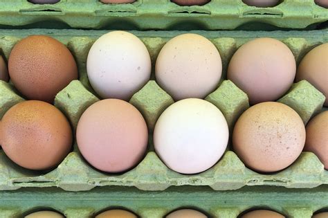 Products Premium Beef Pork Poultry And Eggs — Valley Farms