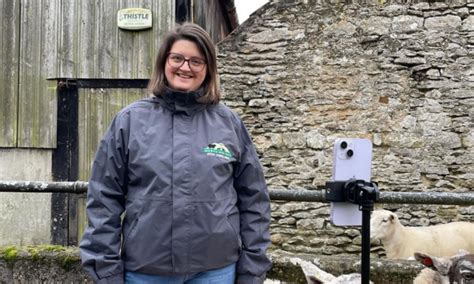 Body Condition Scoring Boosting Flock Performance And Profitability In