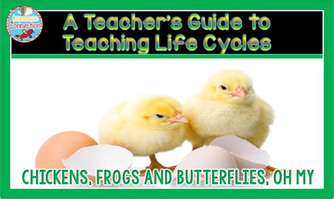 Adventures In Literacy Land Home Facebook