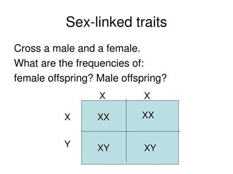 Ppt Codominance And Sex Linked Traits Powerpoint Presentation Free Download Id