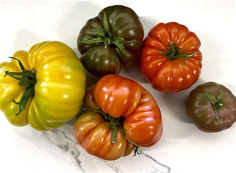 Wholesum Brings Organic Heirloom Tomatoes Indoors The Packer