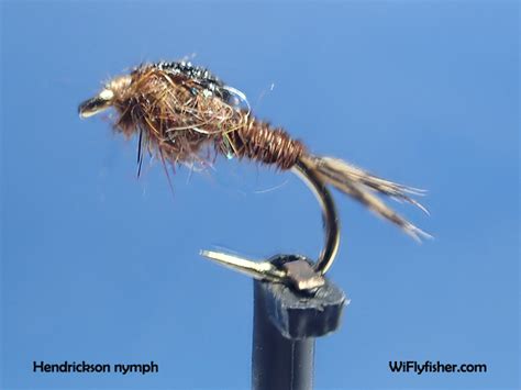 Hendrickson Fly Patterns And Recipes Ephemerella Subvaria