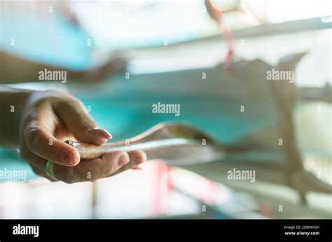 Woman Working On Weaving Machine For Weave Handmade Fabric Textile Weaving Weaving Using