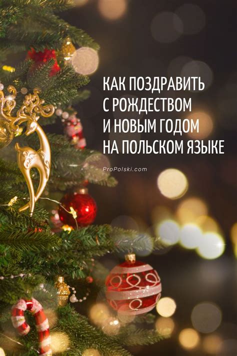 Как поздравить с Рождеством и Новым годом на польском языке Novelty Christmas Christmas