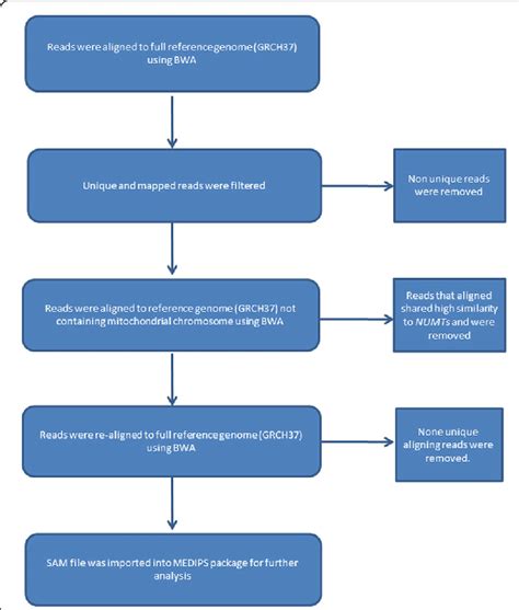Overview Of The Analysis Pipeline Download Scientific Diagram