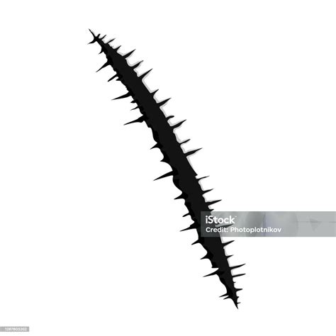 흰 배클그라운드에 괴물 발톱의 검은 흔적 손 스크래치 찢어 그림자와 빛으로 돌파 가장자리에 대한 스톡 벡터 아트 및 기타 이미지 가장자리 갈고리 발톱 건강관리와 의술