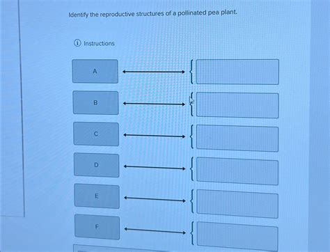 Solved Identify The Reproductive Structures Of A Pollinated