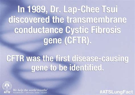 In 1989 Dr Lap Chee Tsui Discovered The Transmembrane Conductance