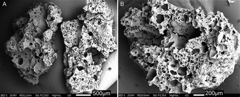 Charred Plant Food Remains From Franchthi Cave With A Homogenised