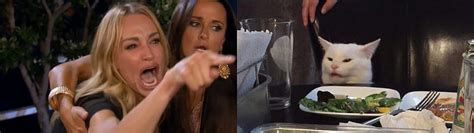 Woman Yelling At A Cat Meme Multiwall Dual Monitor Cat Hd