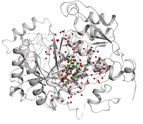Structure Prediction And Target Enablement Schrödinger
