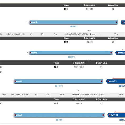 A Analysis Of Anchored Multiplex Pcr Result Of The Archer Fusionplex Download Scientific