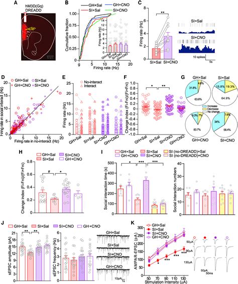 Figure 1 From Neural Circuits And Activity Dynamics Underlying Sex Specific Effects Of Chronic
