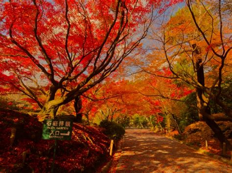 御朱印情報京都府龍安寺の枯山水庭園石庭と禅の教えが記される御朱印 オーダーメイド納経帳御朱印帳千年帳