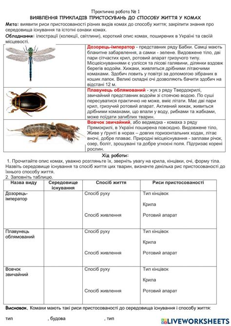 2210894 Практична робота № 1 Виявлення прикладів