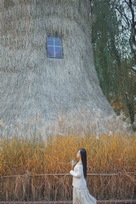 아트그림 20221209 갈대에 감춰진 부드러움 V2ph