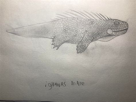 Heres A Bunch Of Old Spec Creatures I Found While Looking Through My