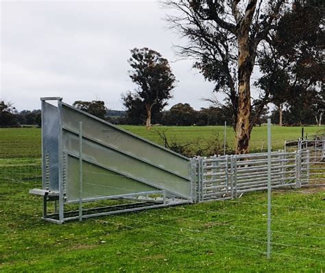 Sheep Loading Ramp Premium AG Wide Wholsalers