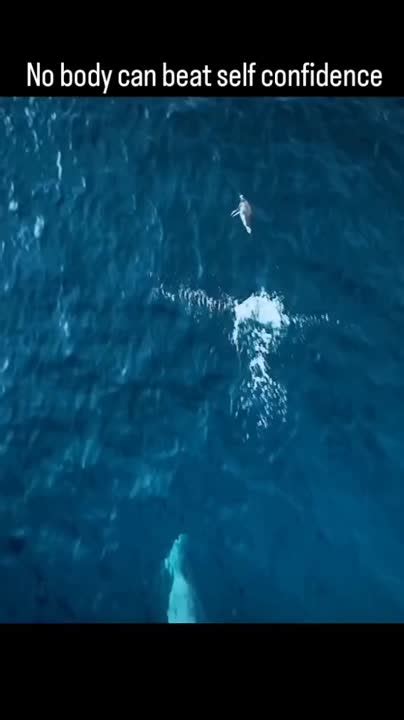 Connect And Network With Kcloud Llc And Script The Cloud Kcloud Llc