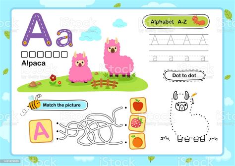 알파벳 편지 A알파카 연습 만화 어휘 일러스트 레이 션 벡터 교육에 대한 스톡 벡터 아트 및 기타 이미지 교육 귀여운 다중 색상 Istock