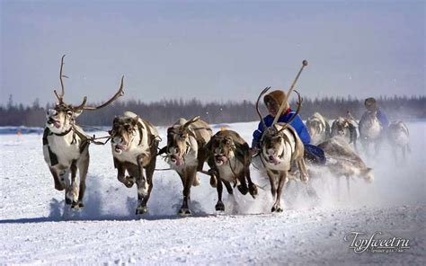 Экстремальный туризм в России ТОП 9 интересных идей