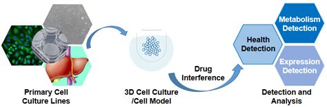 Drug Interference Assay Services Creative Bioarray