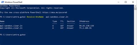 How To Check Dns Resolution Cleartax Docs