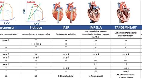 Hemodynamic Measurements And Data Interpretation In Cardiac Catheterization
