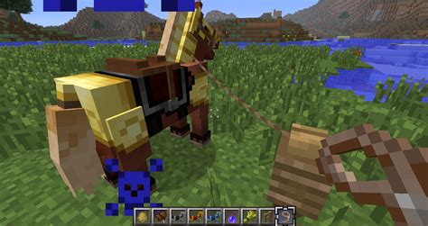 Lead Minecraft Wiki Fandom Powered By Wikia
