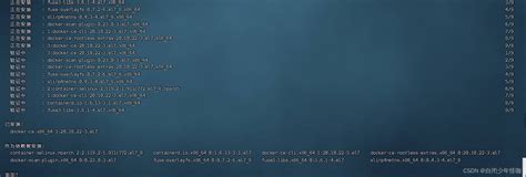 Linux 安装dockerdocker Dockstation Csdn博客 Linux 安装dockerdocker Dockstation Csdn博客