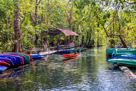 เที่ยววนไป ป่าต้นน้ำบ้านน้ำราด ของดีสุราษฎร์ธานี