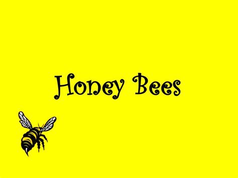 PPT Honey Bees PowerPoint Presentation Free Download ID 211601