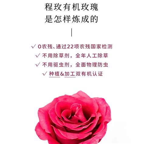 高原无污染有机玫瑰花，泡茶养生新选择？ 玫瑰花茶 淘宝好物网