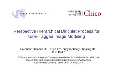 pdf perspective hierarchical dirichlet process forperspective
