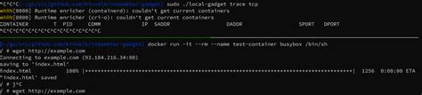 Local Gadget Trace Tcp Ignores Sigint If Started Before Container On Wsl2 · Issue 958