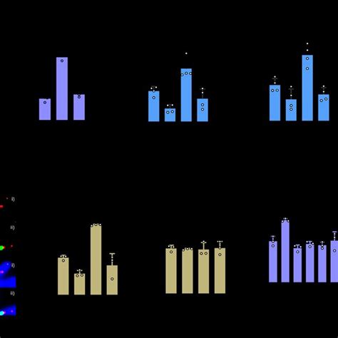 Ub Pcna Increases Apbs With Dna Synthesis In The G2 Phase Of Alt Download Scientific Diagram