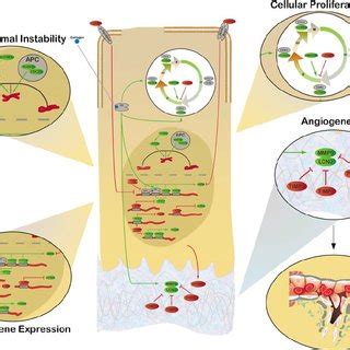Pathway Analysis Of Differentially Regulated Genes Identified In