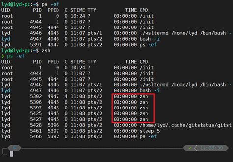 The Powerlevel10k Will Open Multiple Background Zsh · Issue 1982 · Romkatv Powerlevel10k · Github