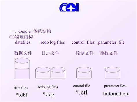 Oracle 数据库入门word文档在线阅读与下载无忧文档