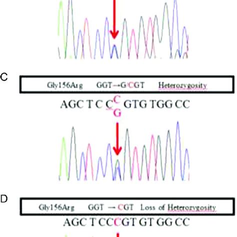 Men1 Gene Analysis Genomic Analysis Of The Men1 Gene Using Dna