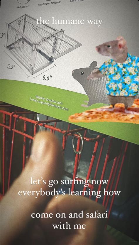 I Got Two Live Catch Rat Traps R Redscarepod